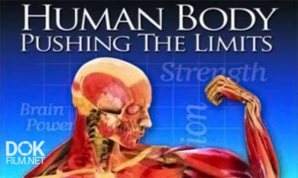 Документальный фильм «Тело человека. Грани возможного. Осязание/ Human ...