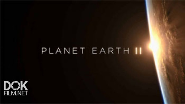 Документальный фильм «Планета Земля 2/ Planet Earth II (2016) / 5 ...
