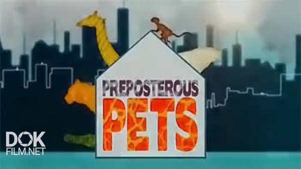 Документальный фильм «Экзотические Питомцы / Preposterous Pets (2014 ...